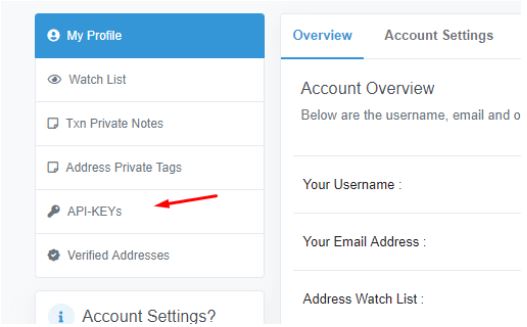 Detailed Guide on Etherscan Ethereum Developers APIs